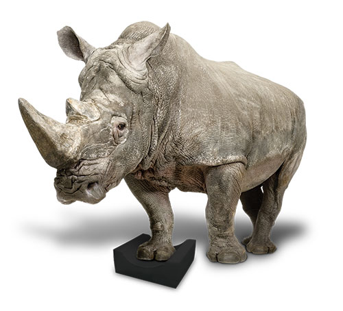 Roll Cradles and Molded Pulp Protective Packaging